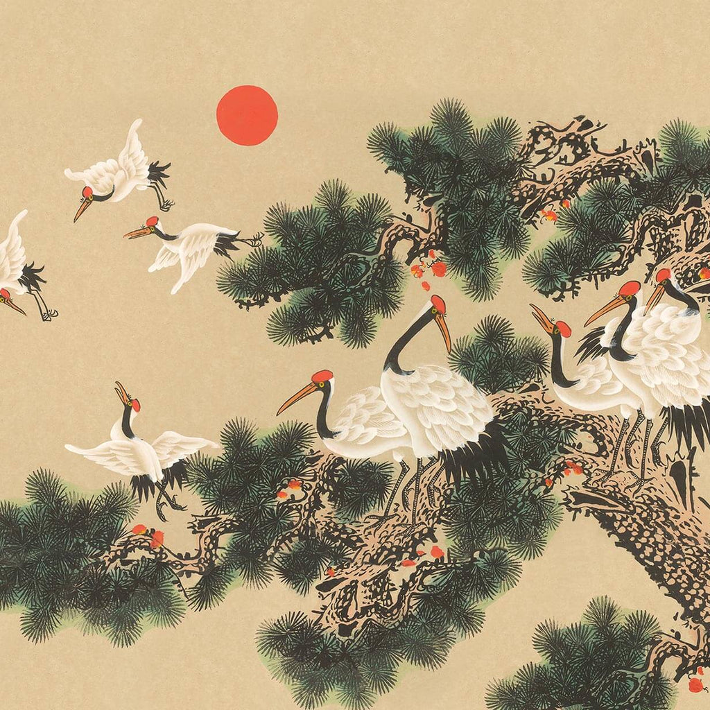 Ukiyo Clow – NewWall Inc.