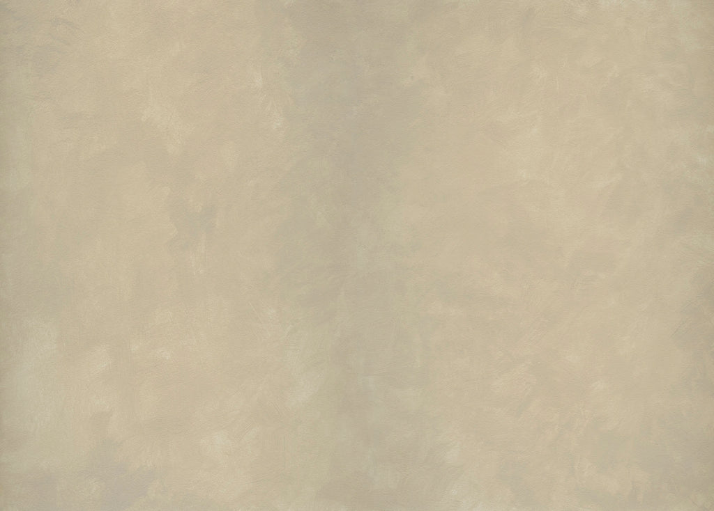 Surface, Limewash – NewWall Inc.