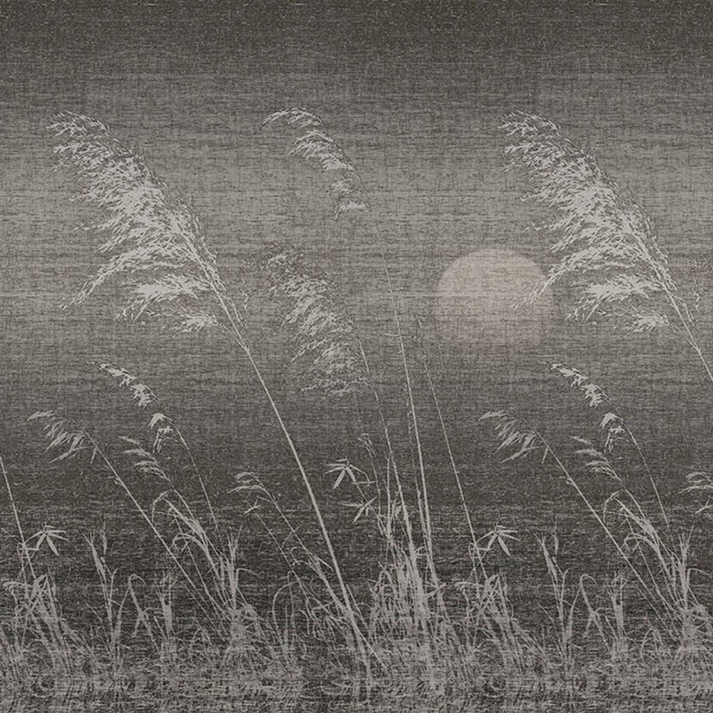 Gli Alisei WDIS2102 – NewWall Inc.