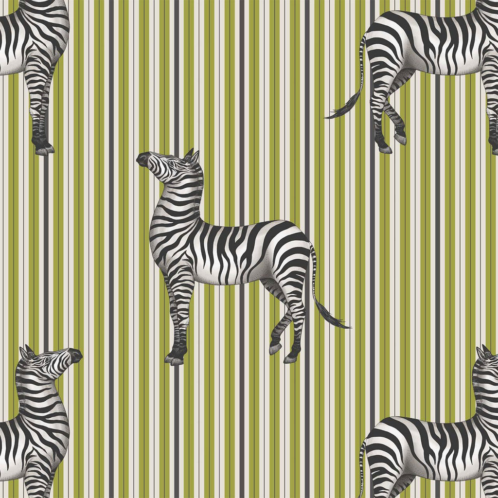 Zeal Off White & Chartreuse Green – NewWall Inc.