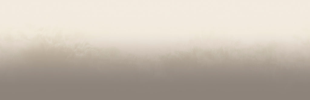 Beneath the Surface Silt – NewWall Inc.