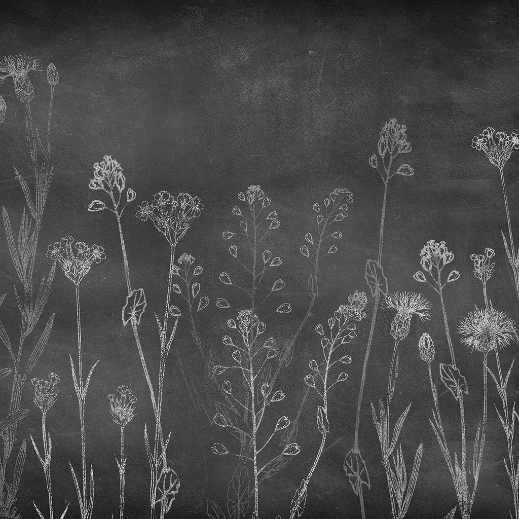 Wild Chalk Night – NewWall Inc.