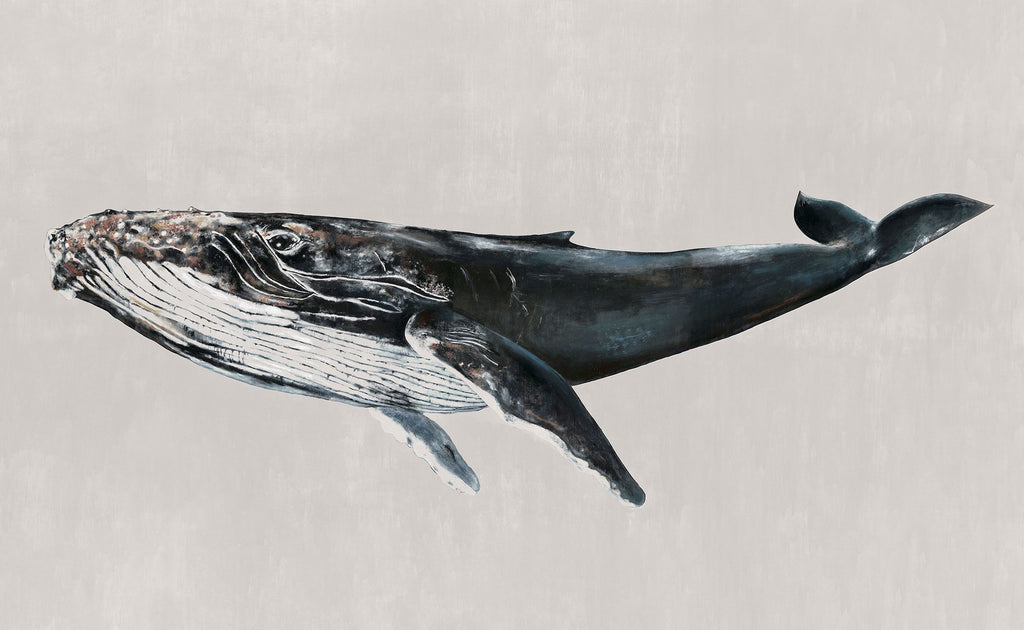 Humpback Whale Grey by Coordonné | Designer Wallpaper Mural | NewWall ...