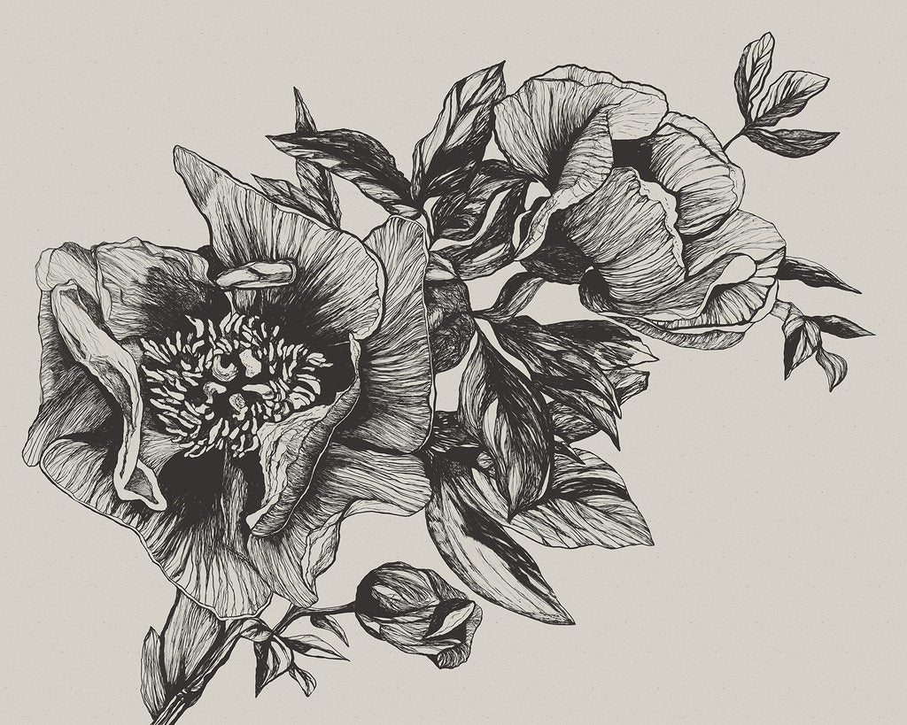 Giant Peonies Stone – NewWall Inc.