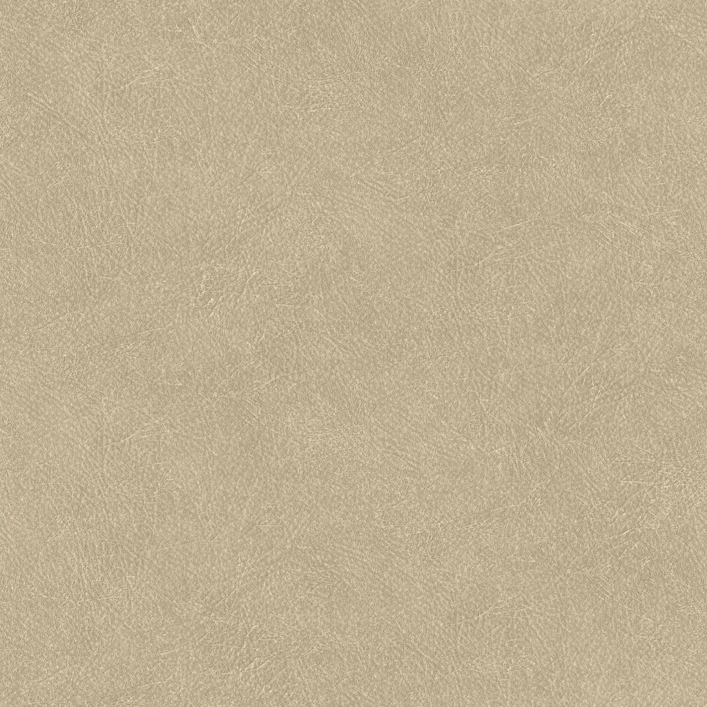 Cuero 21 – NewWall Inc.