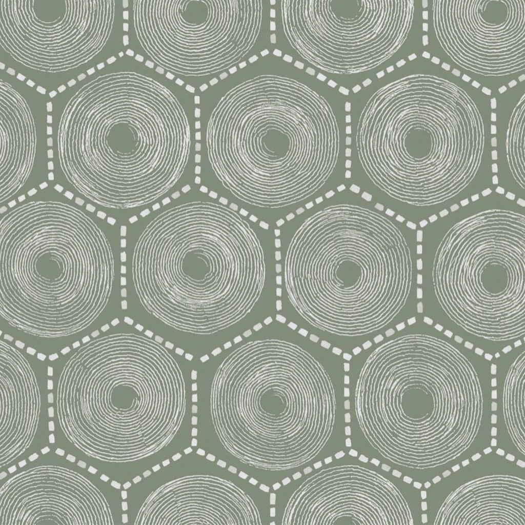 Bringing Hexy Back Labyinth – NewWall Inc.