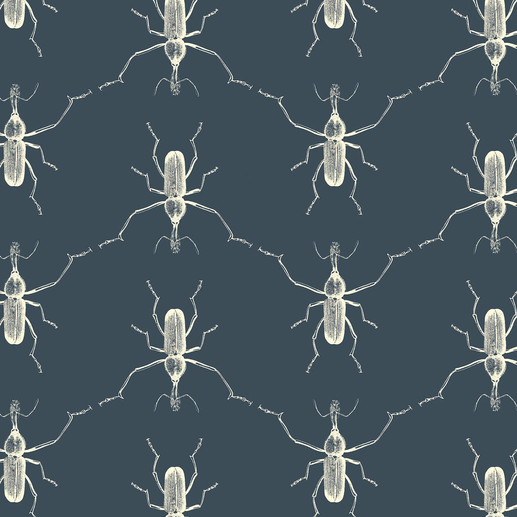 Buggie Moonshadow – NewWall Inc.